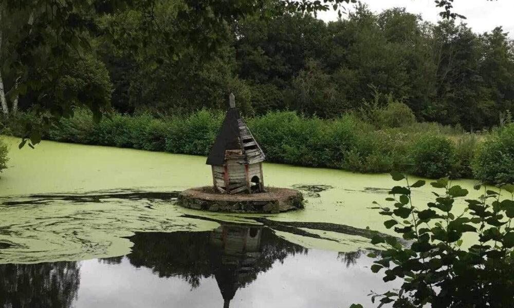 De nouveaux abris pour les canards du château de Fallais