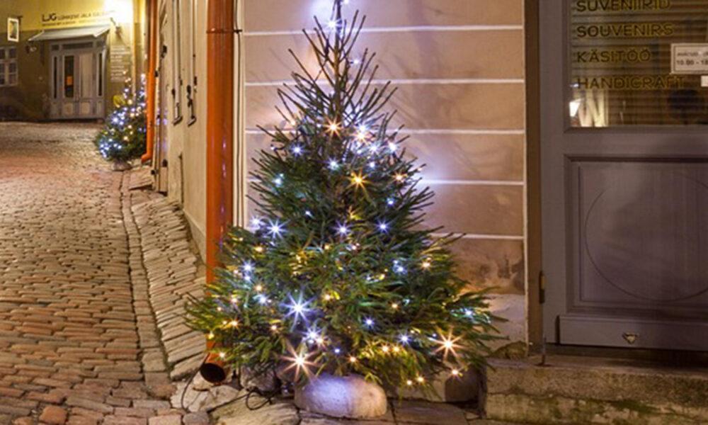 Voici le calendrier des collectes de sapin dans la région