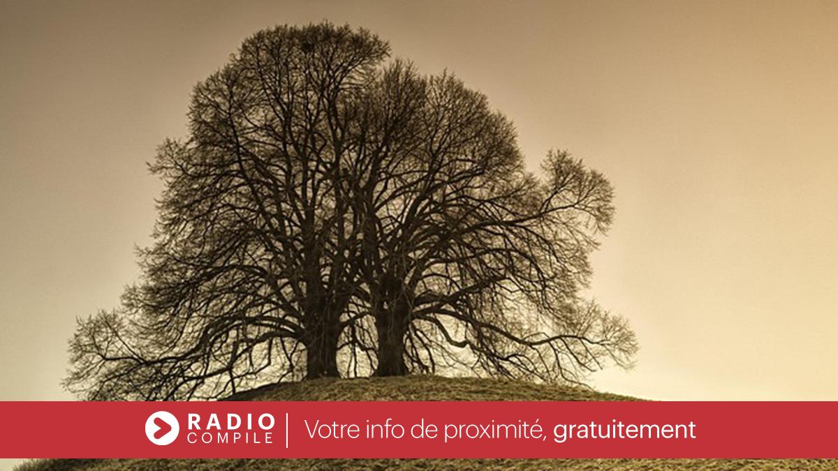 Un concours photo sur la nature organisé à Waremme